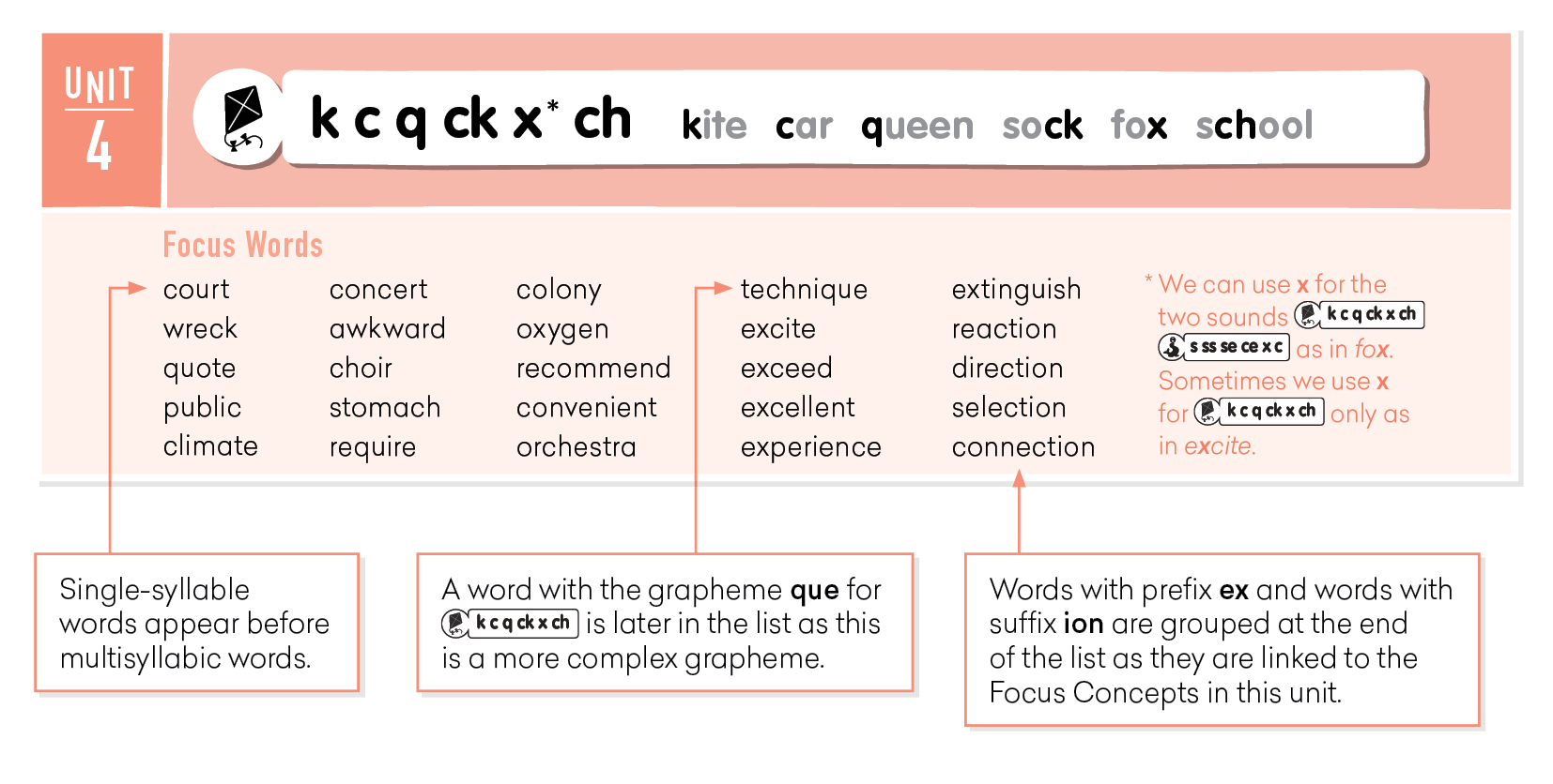All about Focus Words - Firefly Education